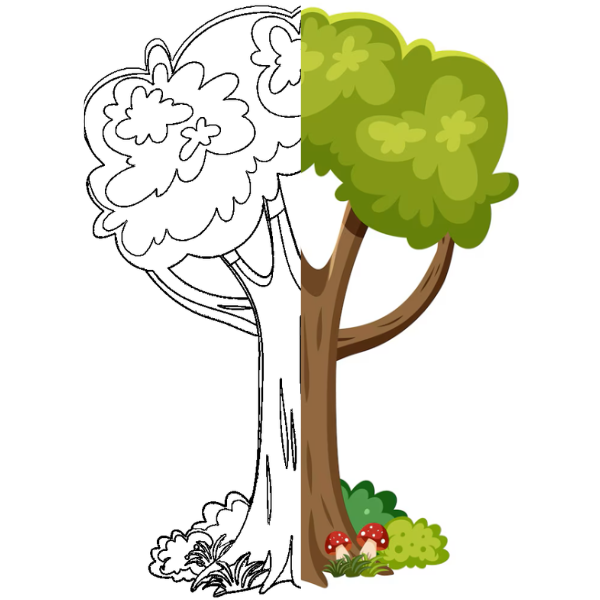 Créer un dessin à colorier
